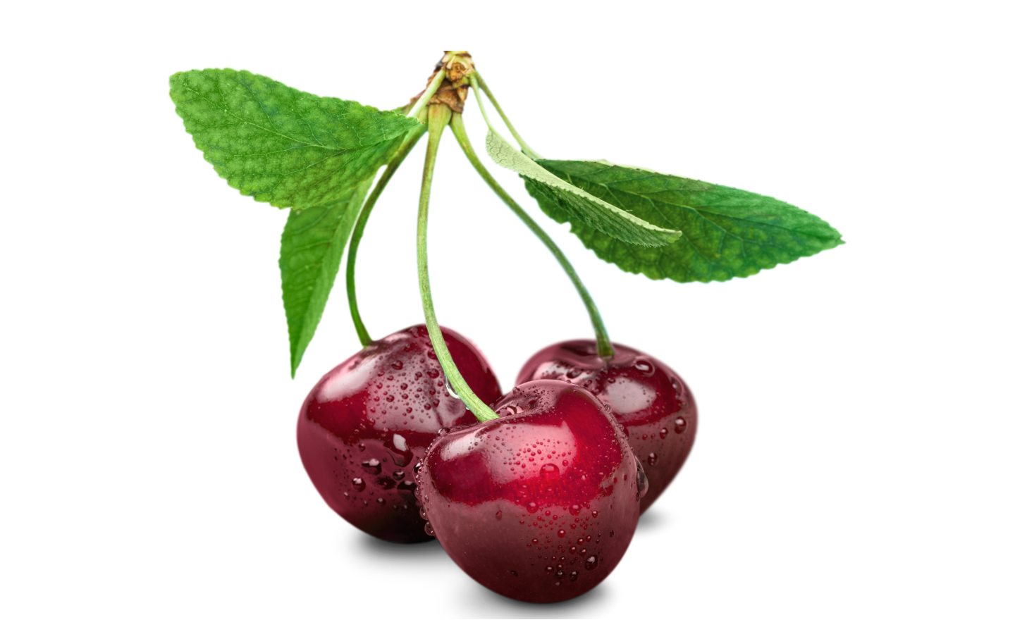 Kersen | Landwinkel de Verse Kers